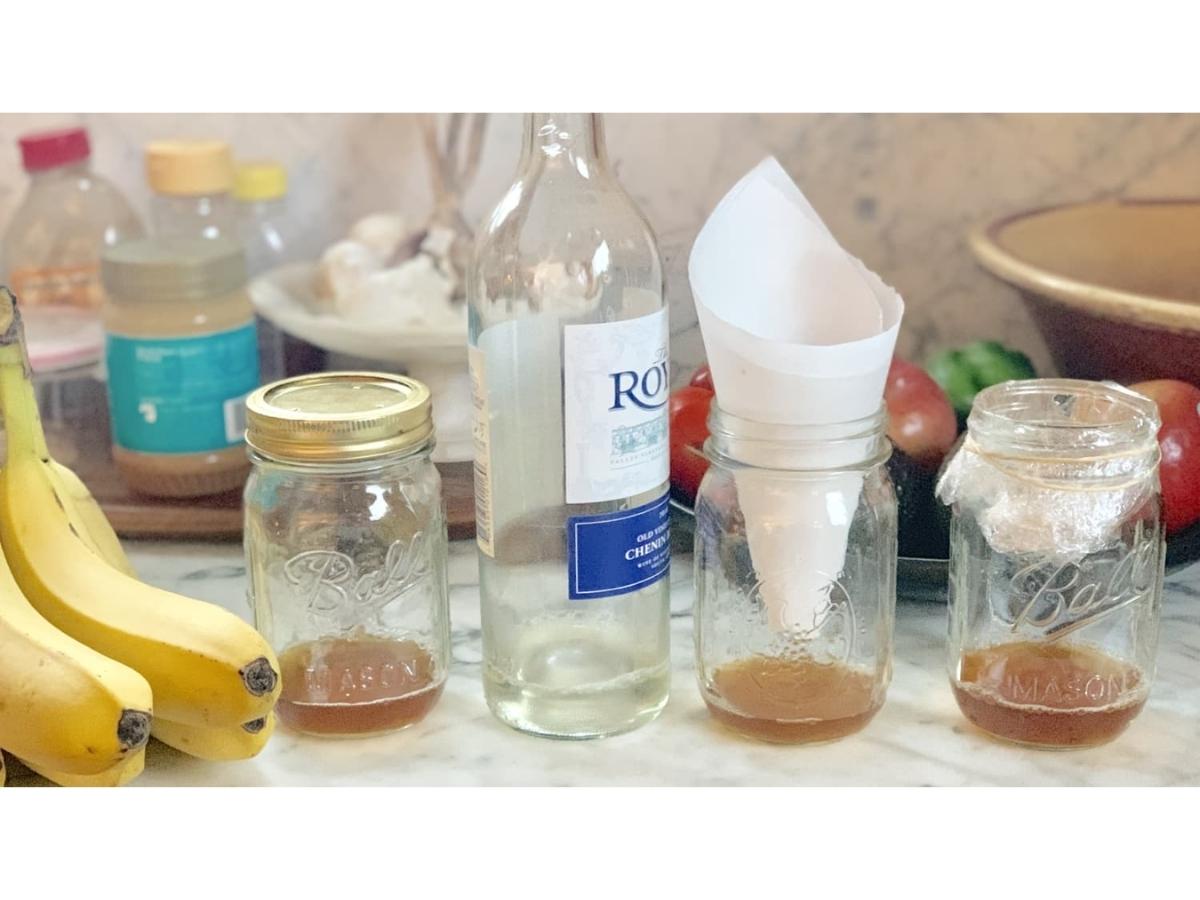 How To Get Rid of House Flies Naturally - Sparkling and Beyond