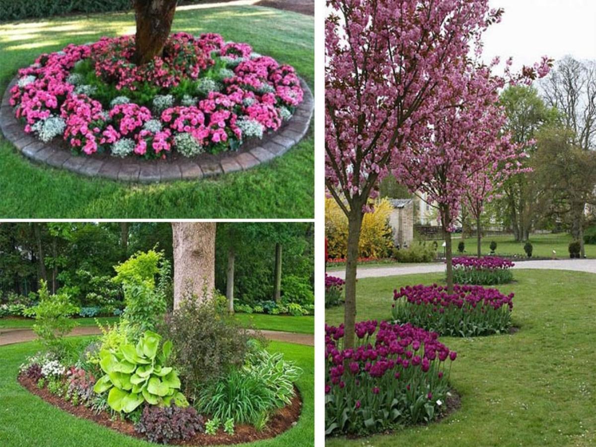 15 Minimalist Front Yard That Make a Big Impact - Sparkling and Beyond