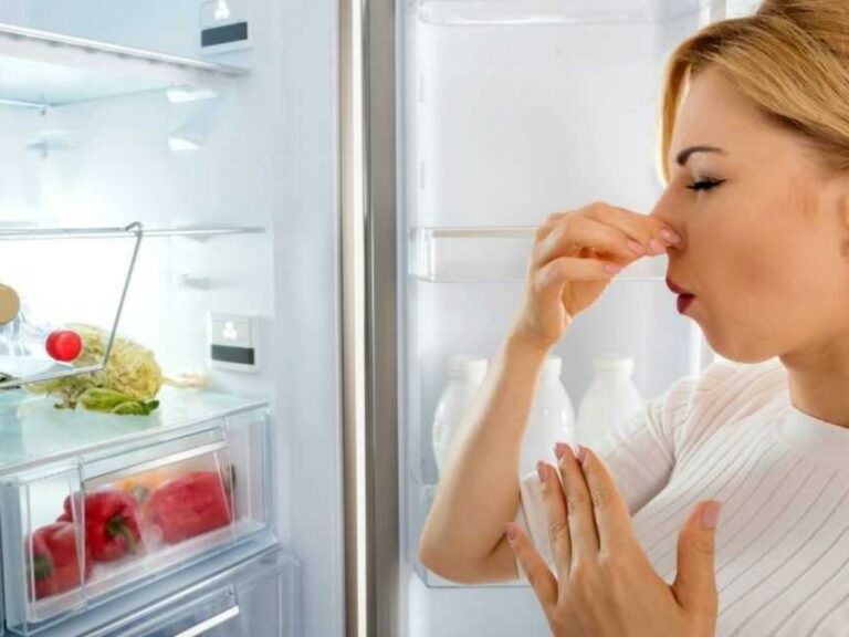 7 Common Reasons Your Fridge Smells Bad - Sparkling and Beyond