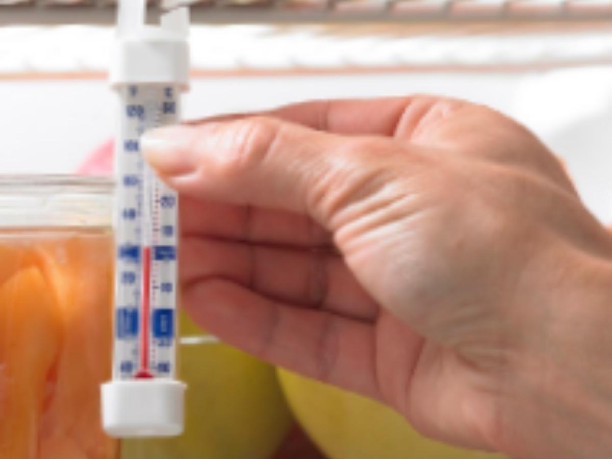 7 Common Reasons Your Fridge Smells Bad - Sparkling and Beyond