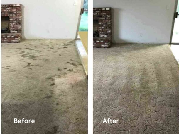 Incredible Photos of Before and After Carpet Cleaning -Sparkling and Beyond